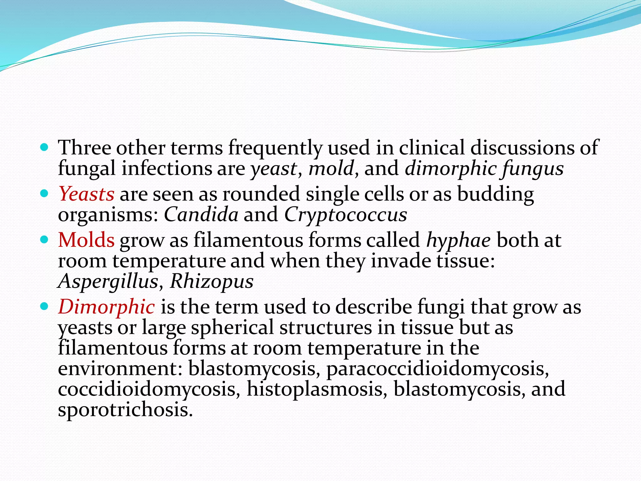 Fungal infection | PDF
