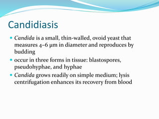 Fungal infection | PDF