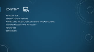 FUNGAL.pptx
