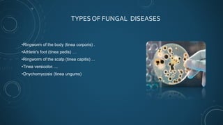 FUNGAL.pptx