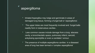 fungal that cause respiratory defect types and management. | PPTX