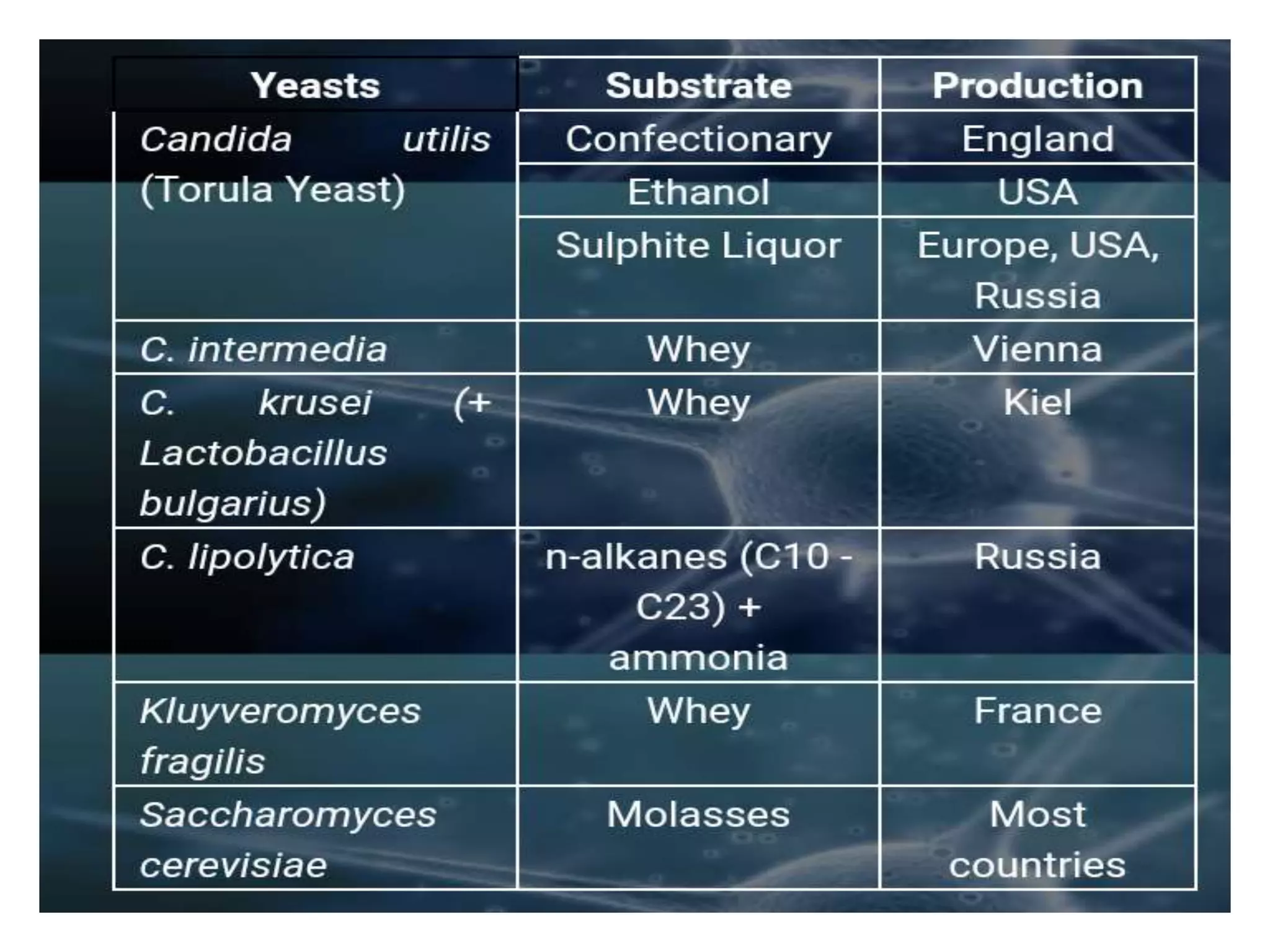 Fungal and yeast single cell protein | PPTX