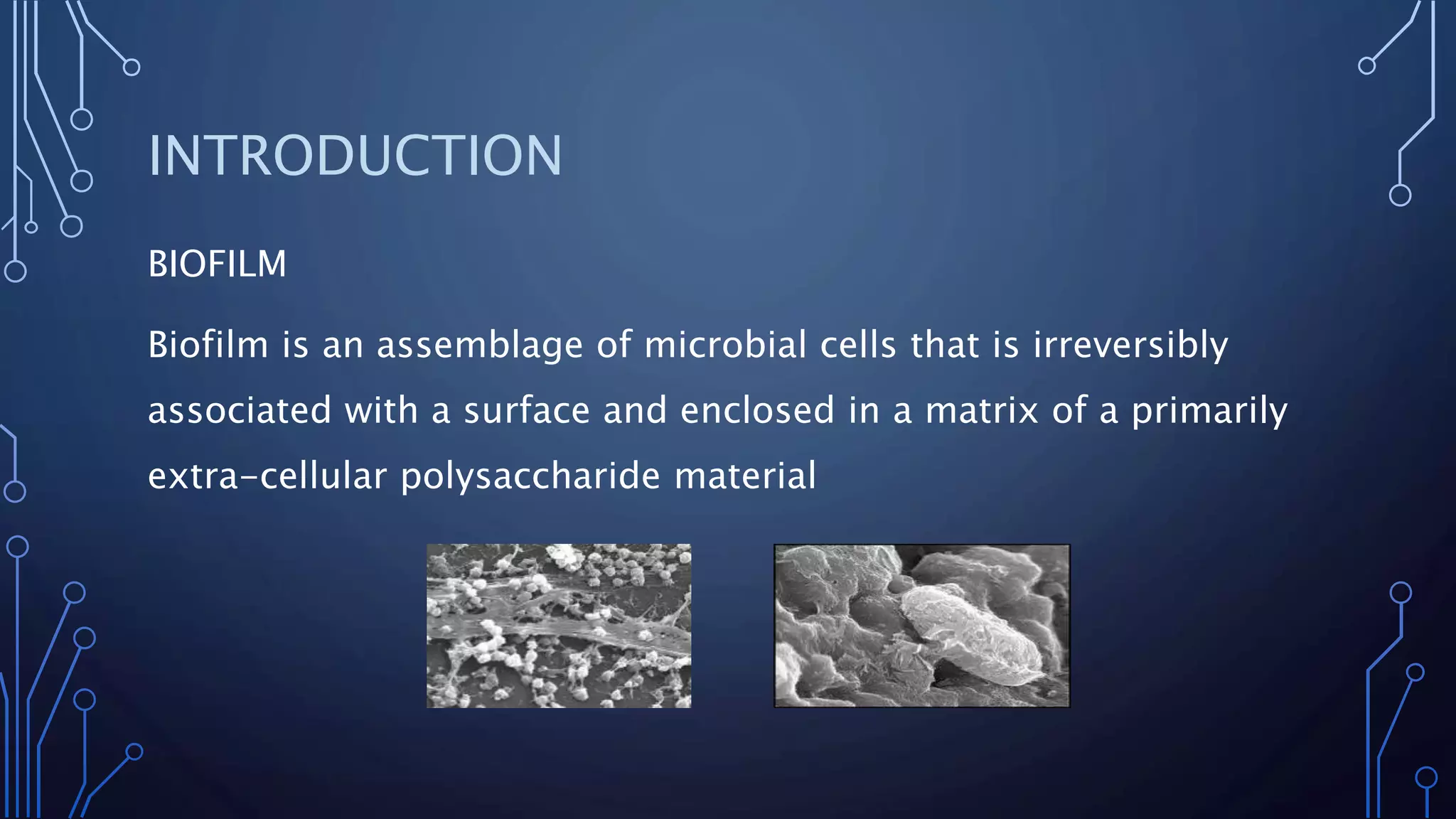 Fungal biofilm | PPTX