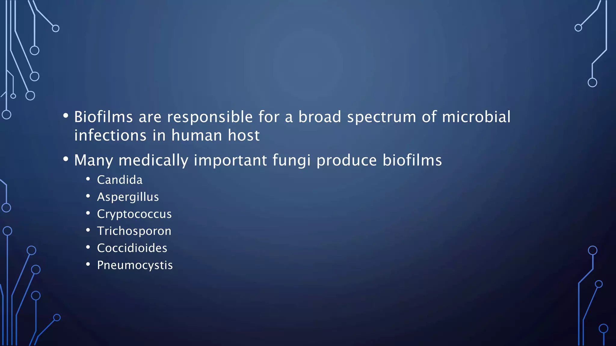 Fungal biofilm | PPTX