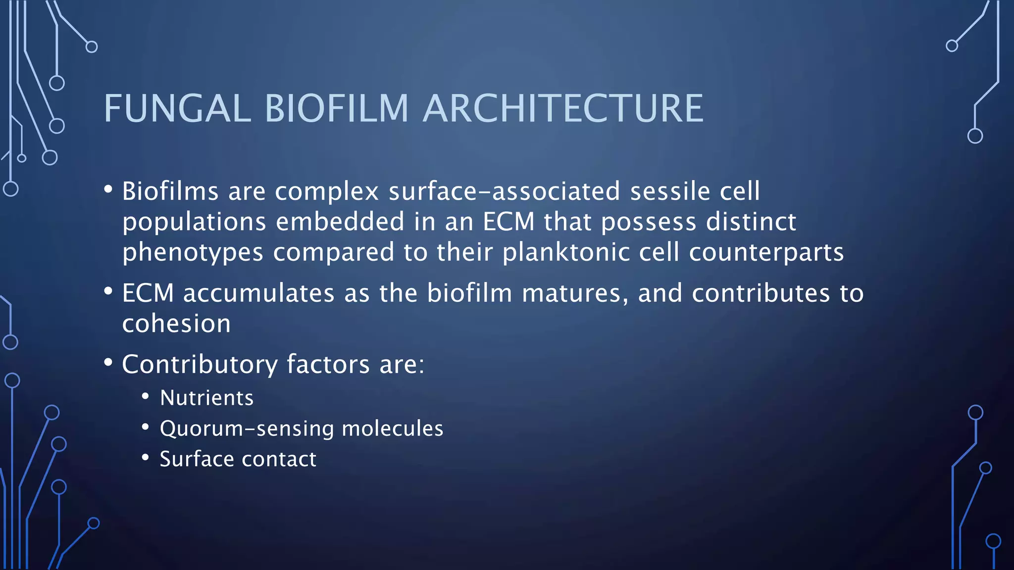 Fungal biofilm | PPTX