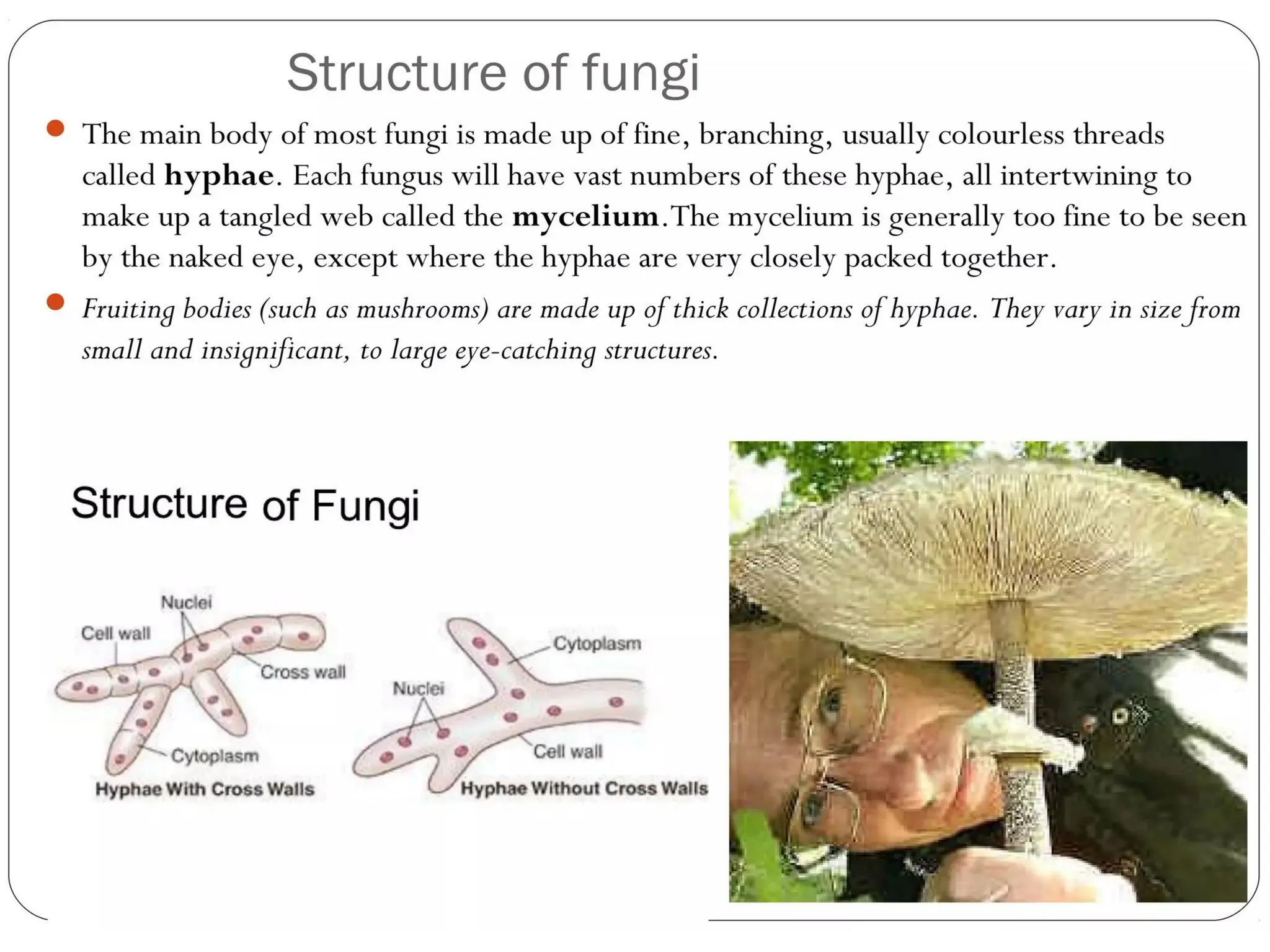 Fungal Biotechnology Chapt The course material for fungal bitotechnolog ...
