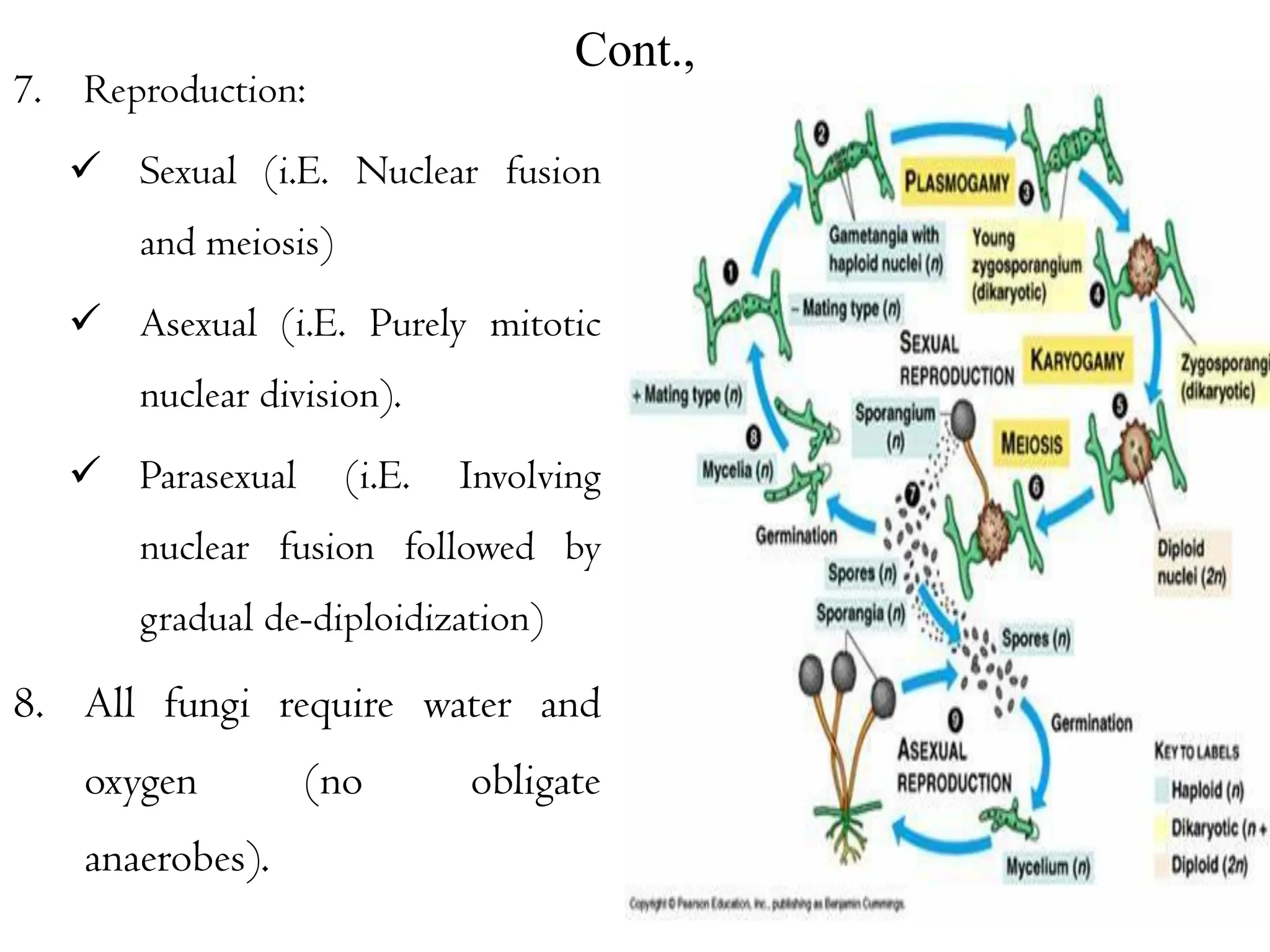 Fungal Biotechnology Chapt The course material for fungal bitotechnolog ...