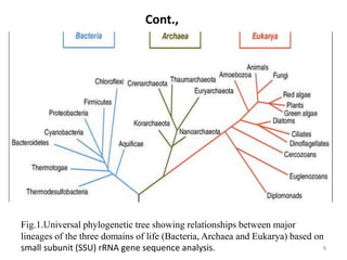 Fungal Biotechnology Chapt The course material for fungal bitotechnolog ...