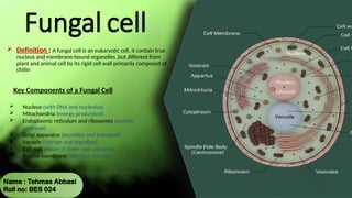 Fungal Cell and Its Characteristic presentation 1.pptx