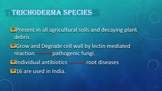 Fungal Chitinases from Trichoderma species: A Solution of Integrated ...