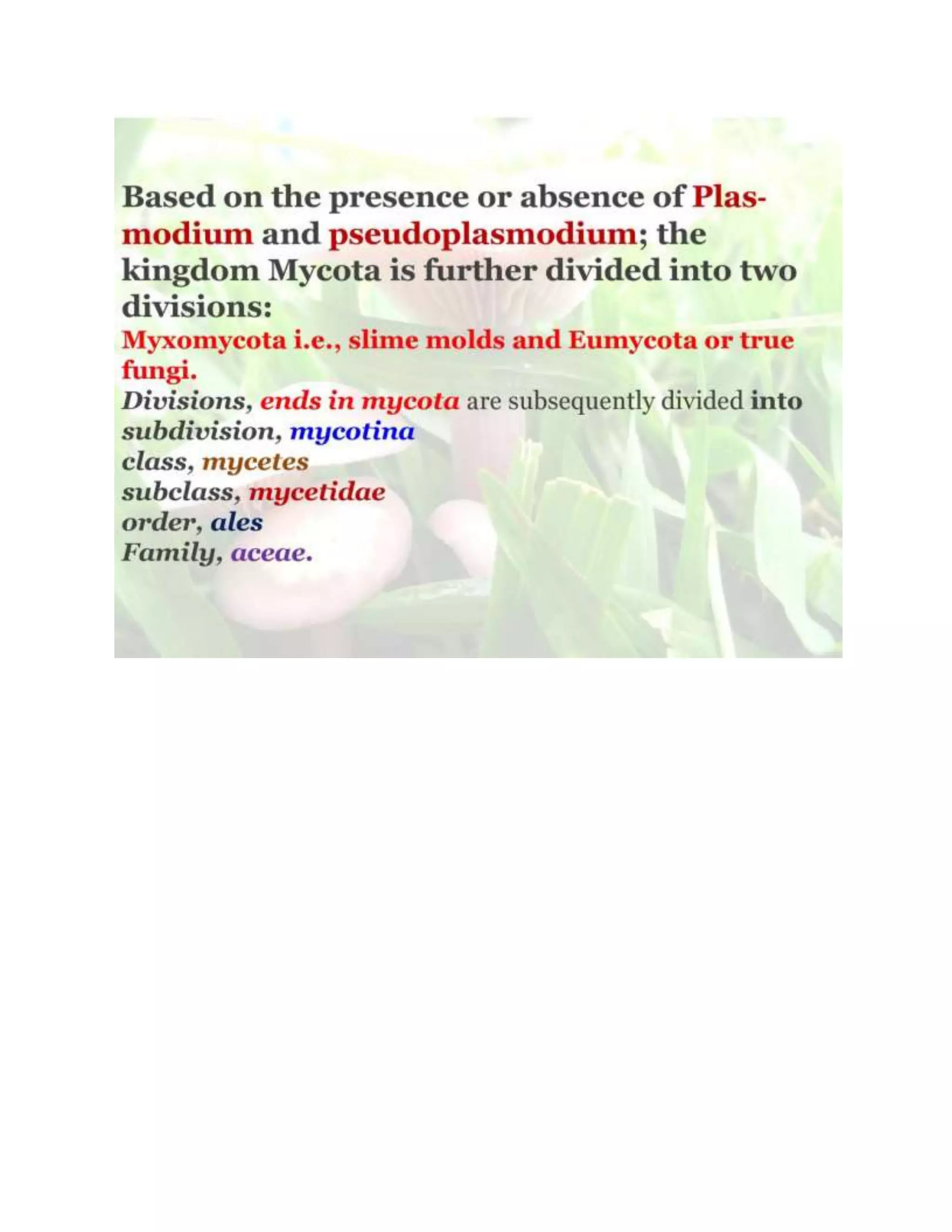 Fungal classification | DOCX