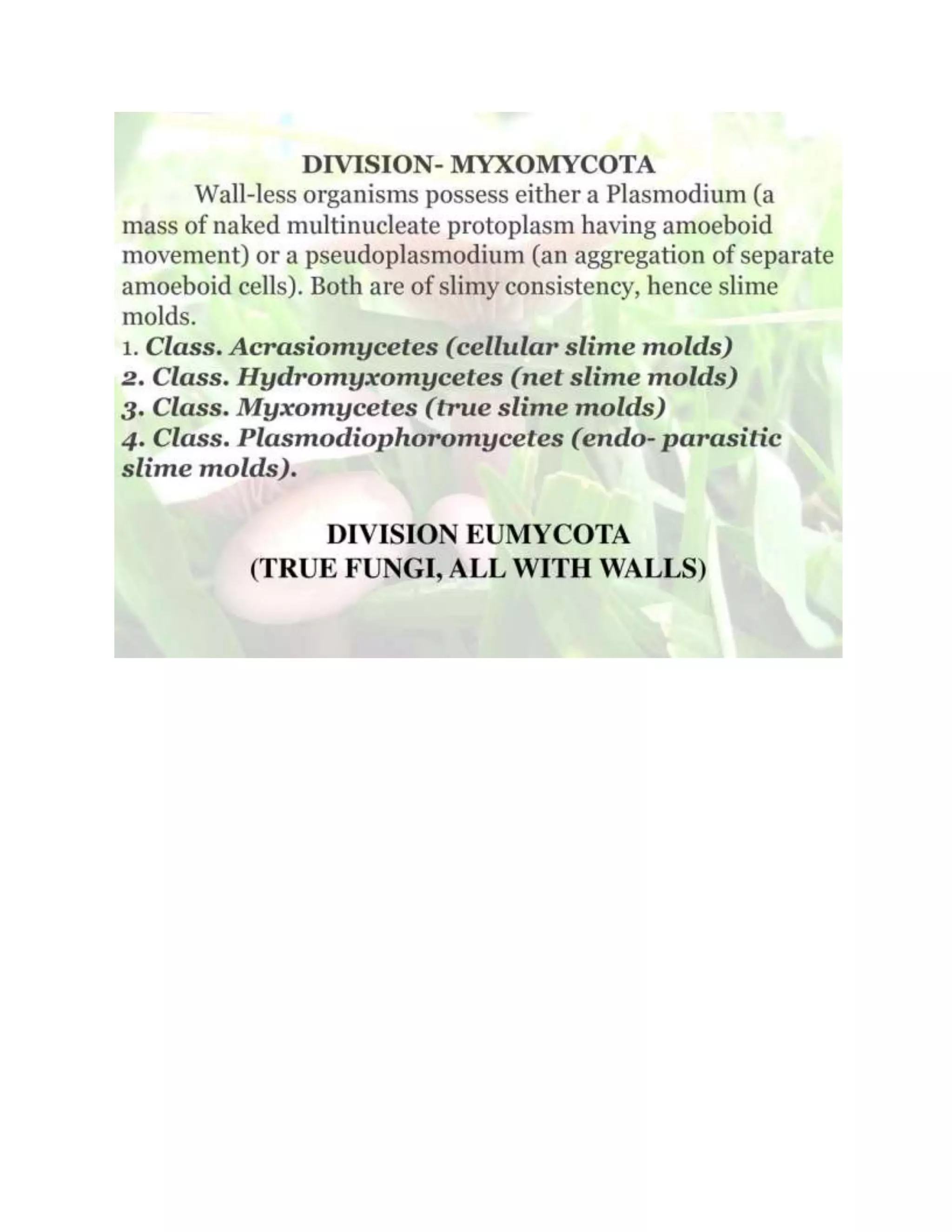 Fungal classification | DOCX