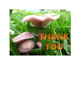 Fungal classification | DOCX