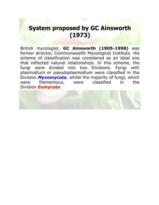 Fungal classification | DOCX