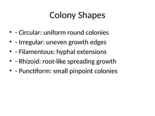Fungal_Colony_Morphology and characteristics.pptx
