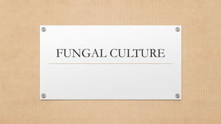 Fungal culture, growing of fungi ,preservation technique ...