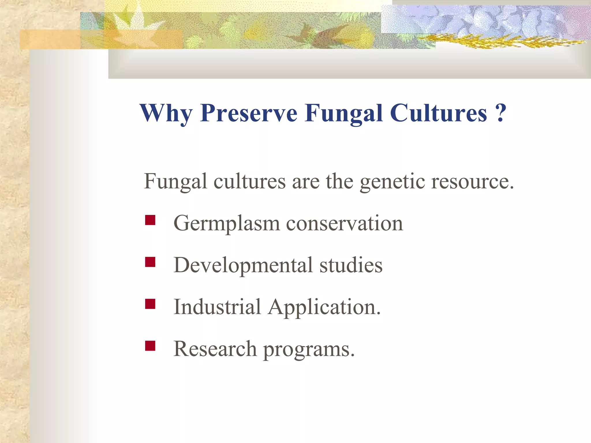 Fungal cultures | PPT