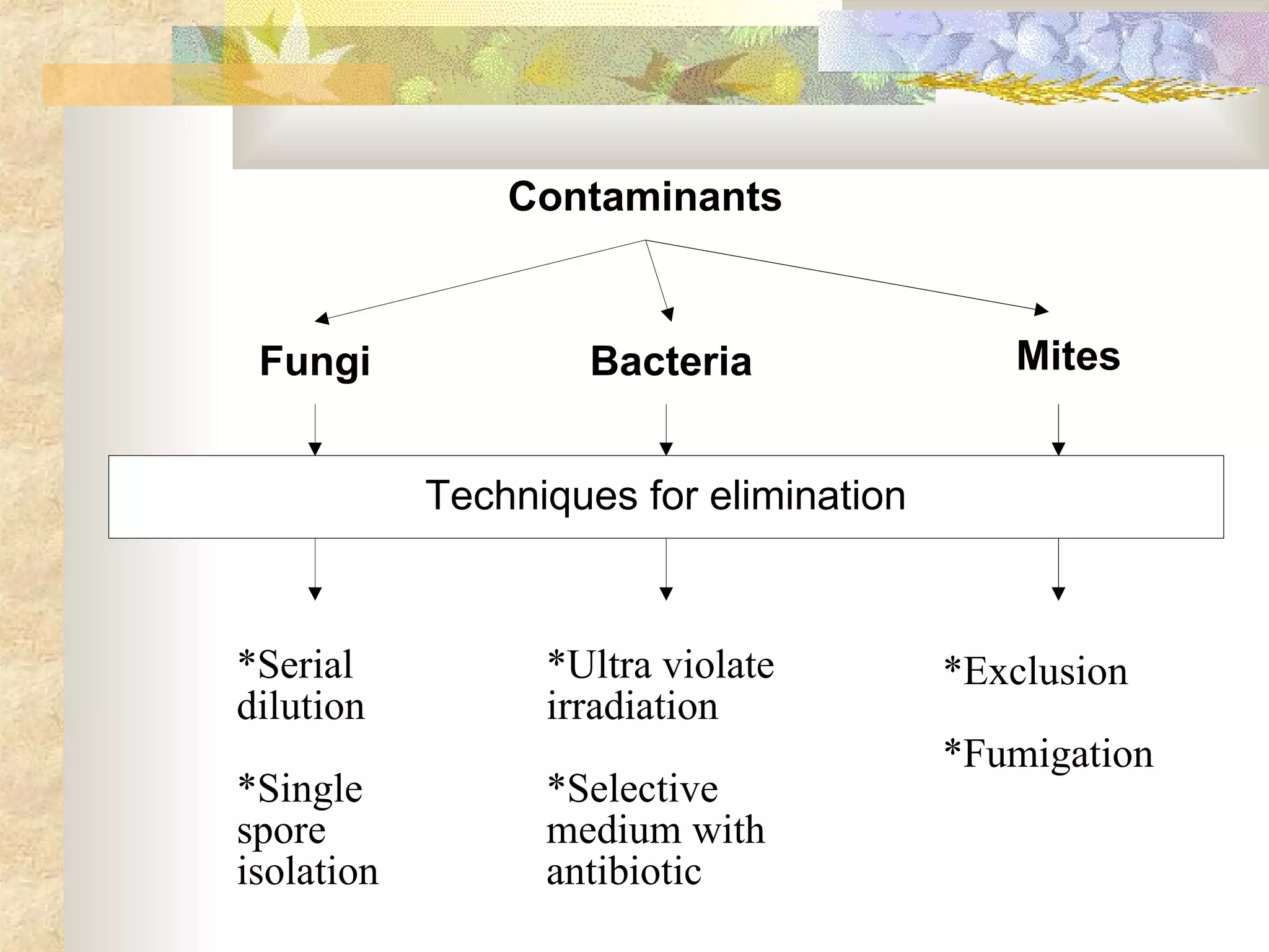 Fungal cultures | PPT