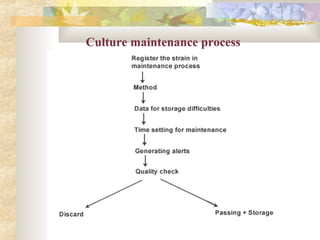 Fungal cultures | PPT