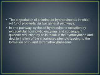 Fungal degradation 042 | PPTX