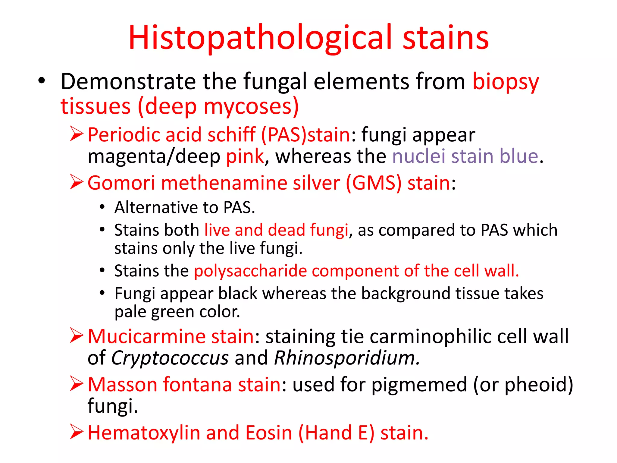 Fungal diagnosis | PPTX