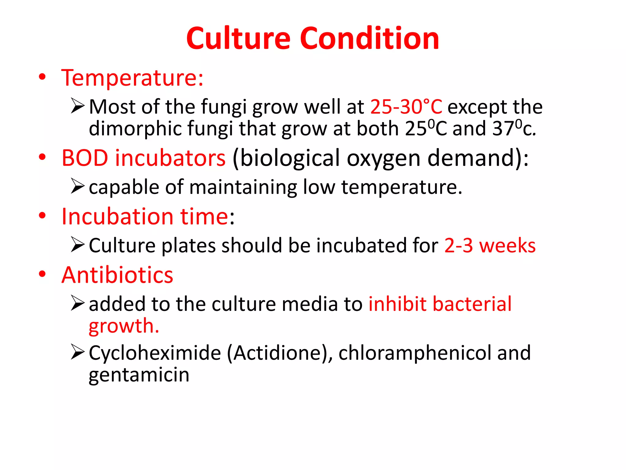 Fungal diagnosis | PPTX