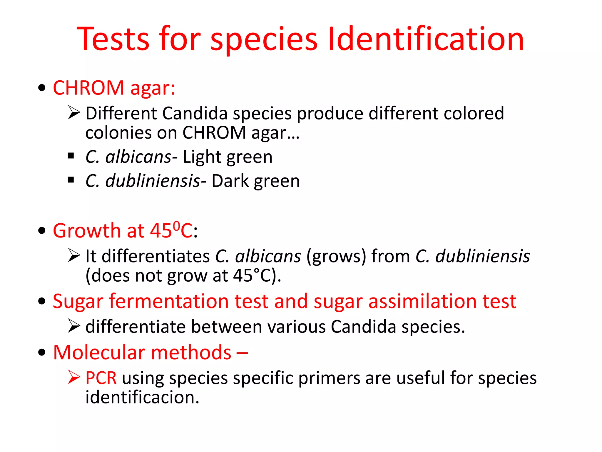 Fungal diagnosis | PPTX