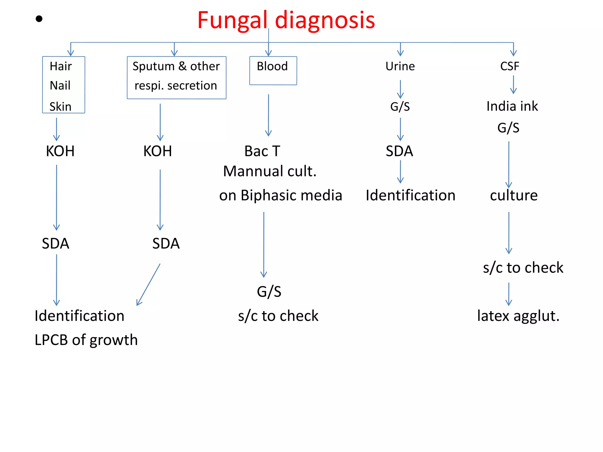 Fungal diagnosis | PPTX