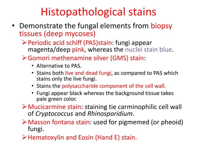 Fungal diagnosis | PPTX | Infectious Diseases | Diseases and Conditions