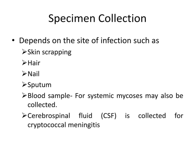 Fungal diagnosis | PPTX | Infectious Diseases | Diseases and Conditions
