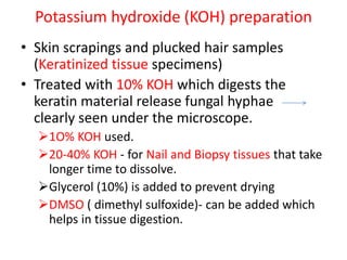 Fungal diagnosis | PPTX