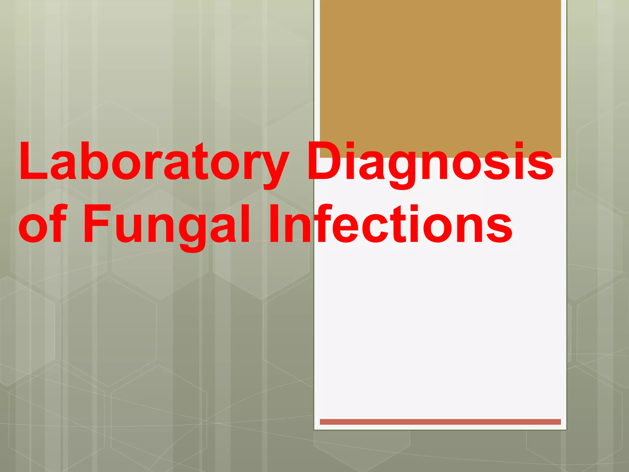 fungal diagnosis.pptx