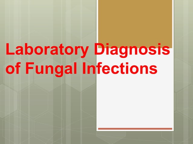 fungal diagnosis.pptx | Infectious Diseases | Diseases and Conditions