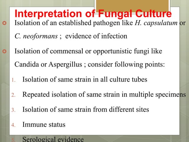 fungal diagnosis.pptx | Infectious Diseases | Diseases and Conditions