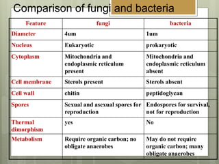 fungal diagnosis.pptx