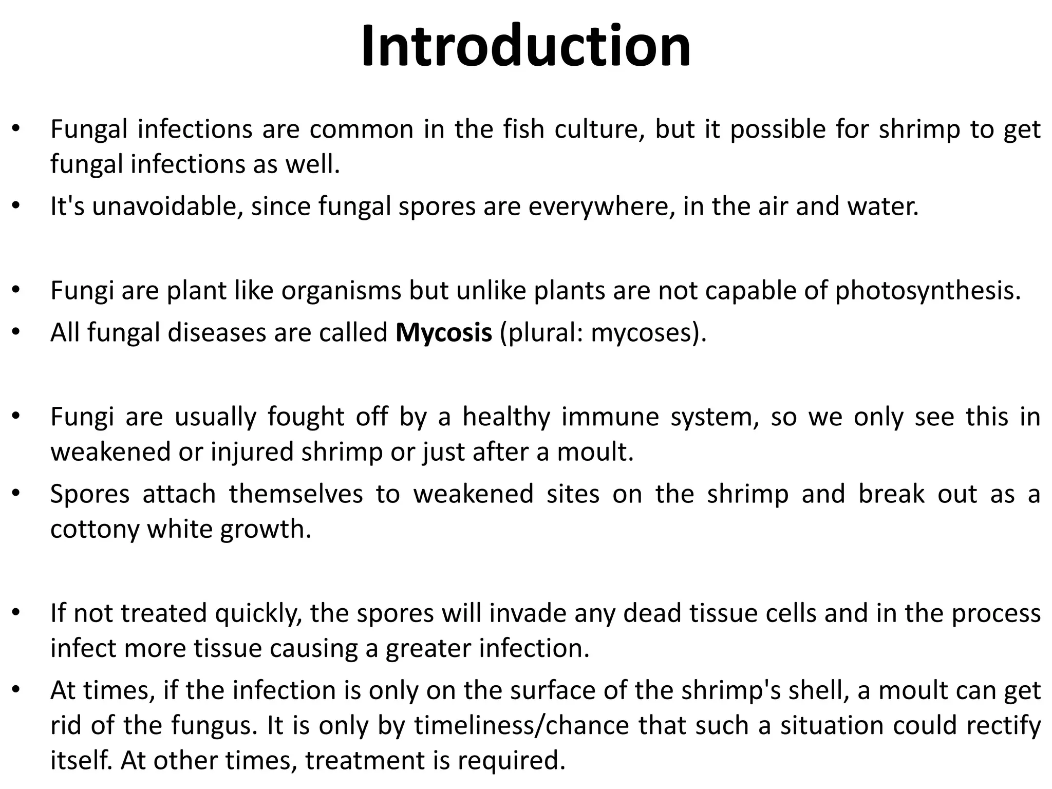 Fungal diseases of shrimp | PPTX