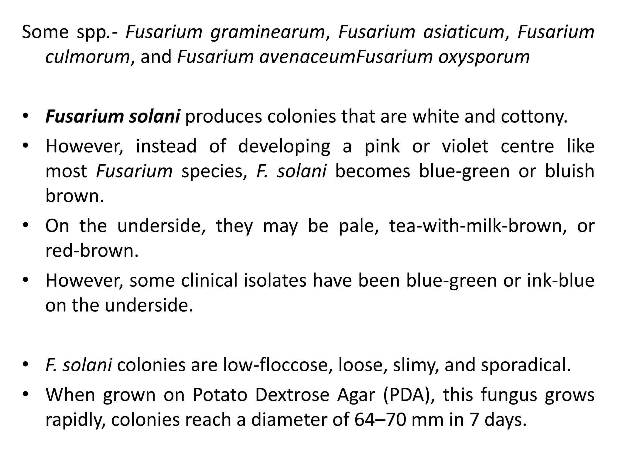 Fungal diseases of shrimp | PPTX