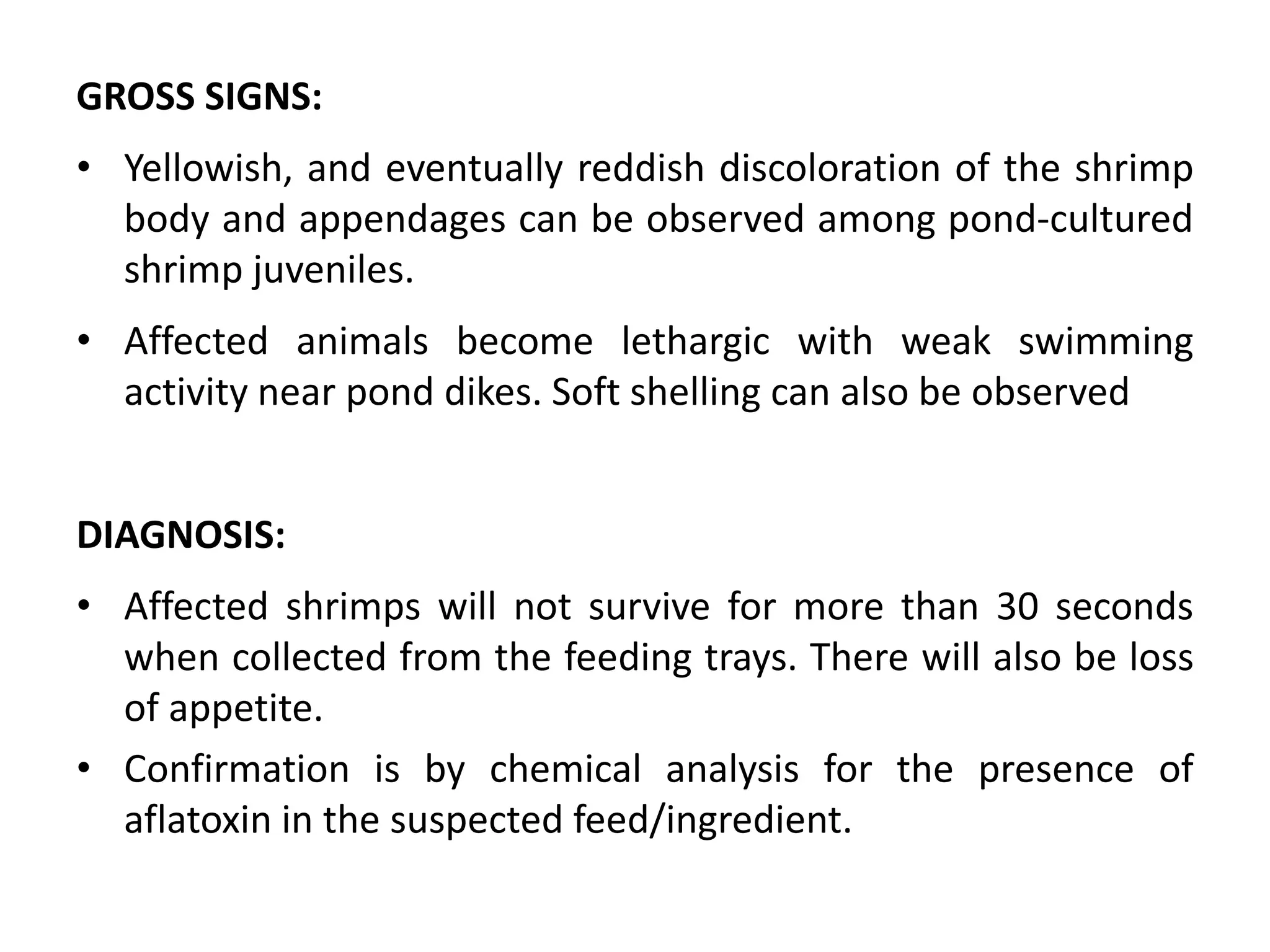 Fungal diseases of shrimp | PPTX