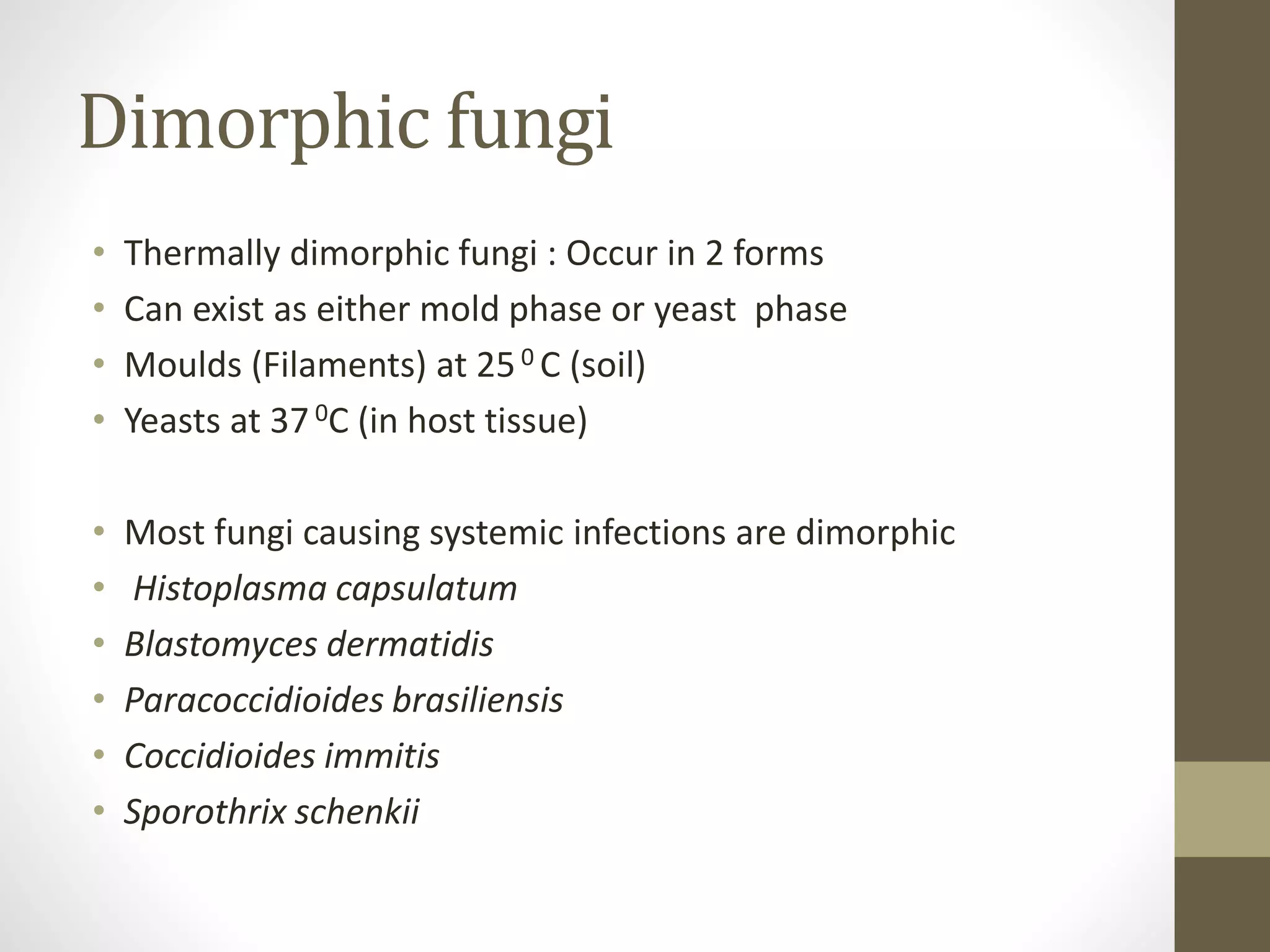 fungal disease of medical importance.pptx