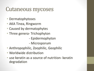 fungal disease of medical importance.pptx