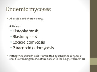 fungal disease of medical importance.pptx