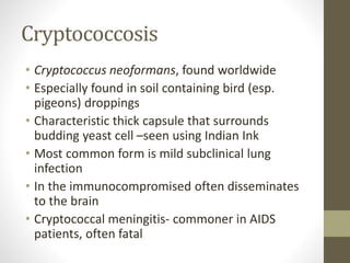 fungal disease of medical importance.pptx