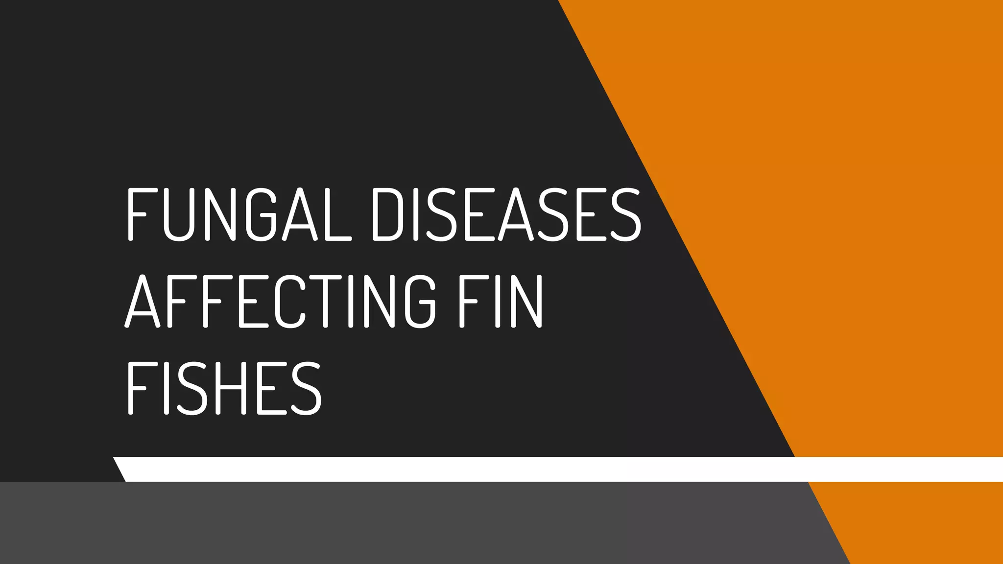 Fungal diseases of fish and shell fish | PPTX