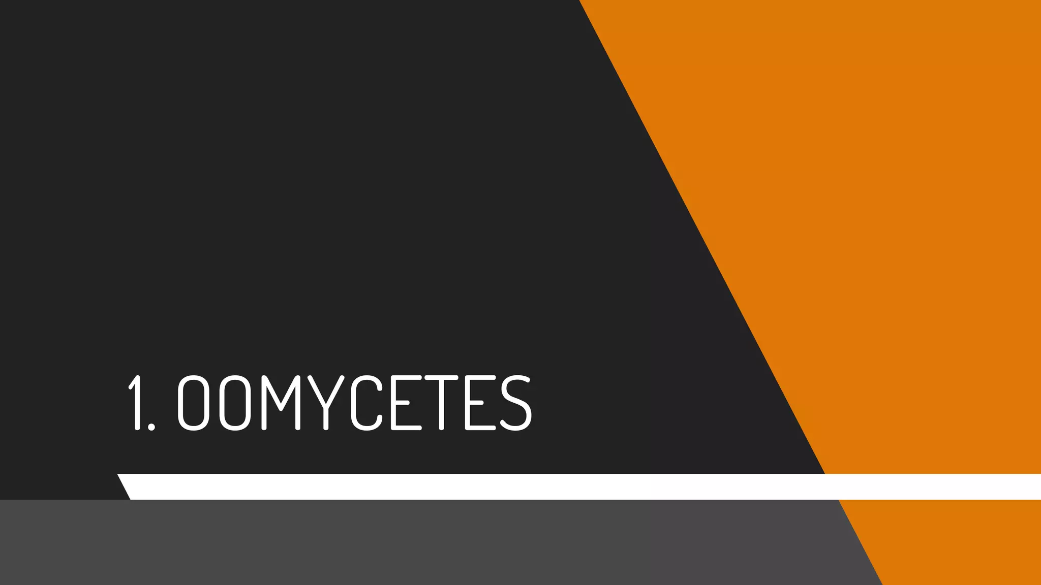 Fungal diseases of fish and shell fish | PPTX