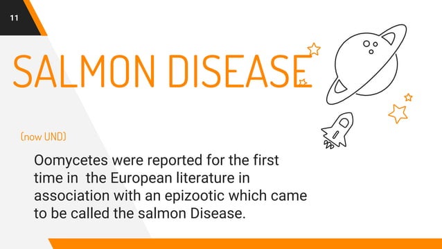 Fungal diseases of fish and shell fish | PPTX