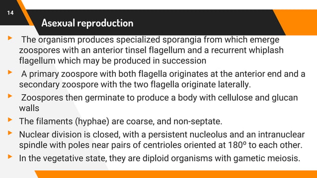Fungal diseases of fish and shell fish | PPTX