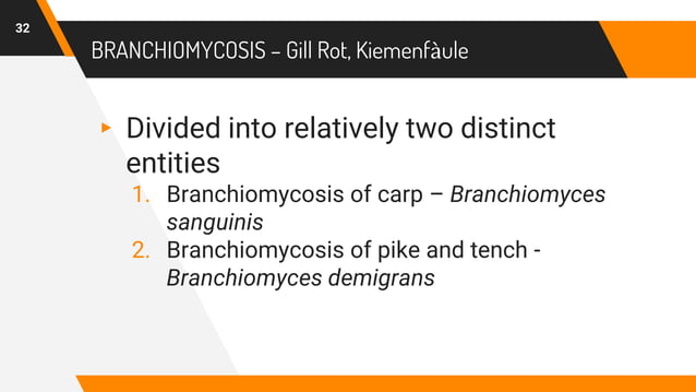 Fungal diseases of fish and shell fish | PPTX