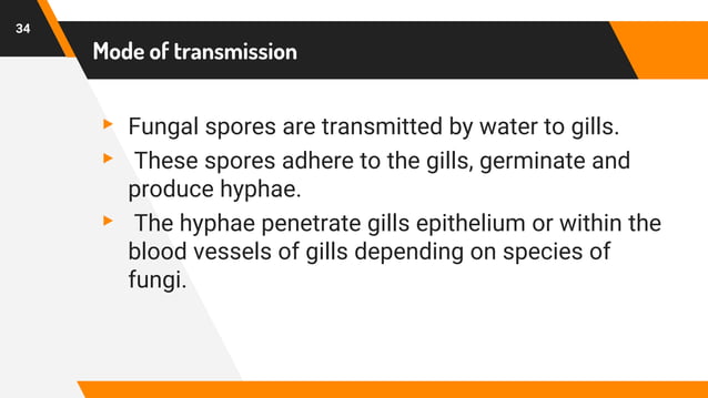 Fungal diseases of fish and shell fish | PPTX