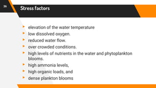 Fungal diseases of fish and shell fish | PPTX