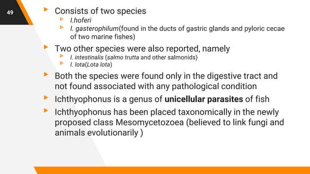 Fungal diseases of fish and shell fish | PPTX